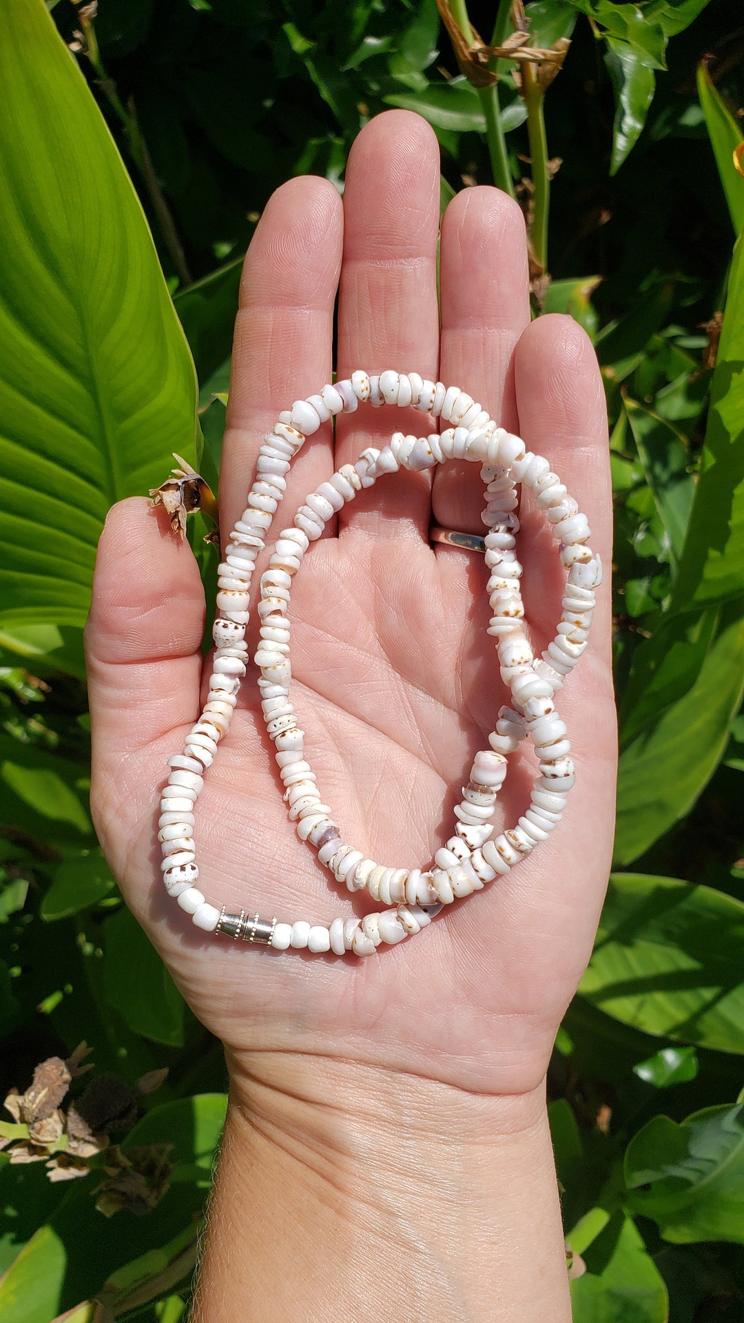18" Tiger Puka Shell Necklace (1 Necklace) - Etsy