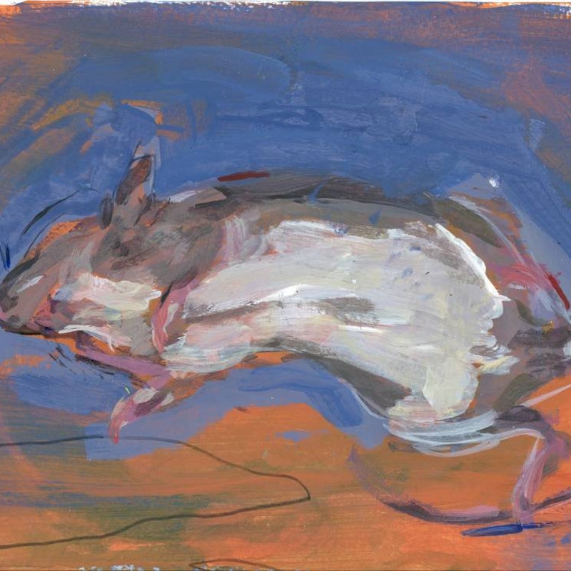 Rat Painting - Etsy