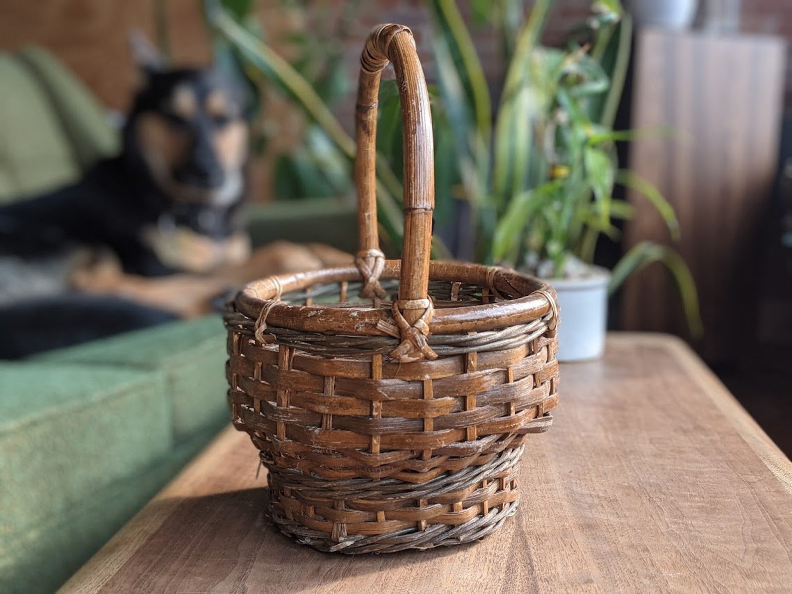 Primitive Wicker Round Flower Basket With Handle Rustic - Etsy