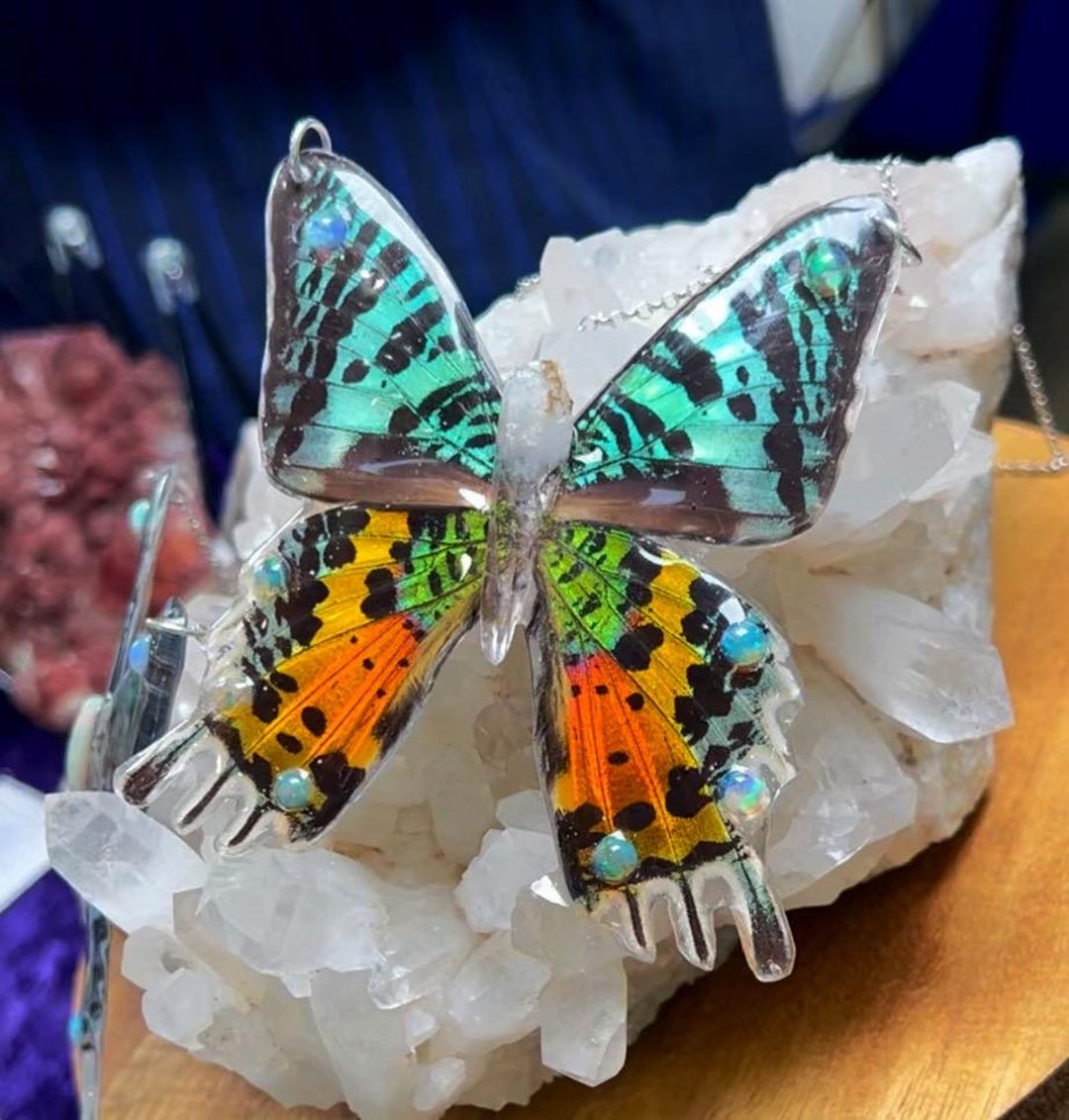 Madagascan Sunset Moth Pendant With Colorado Amethyst and Ethiopian ...