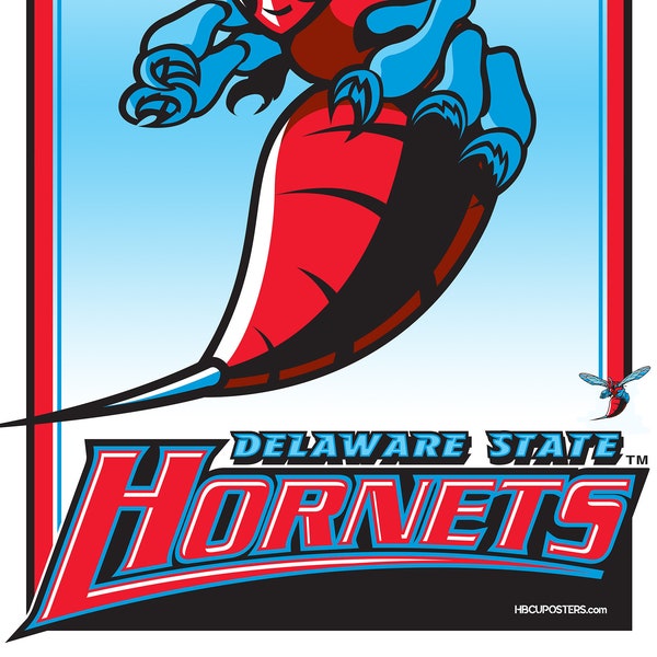 Delaware State University - Etsy