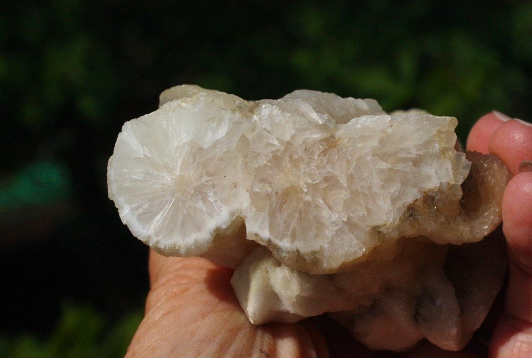 Brain-like Botryoidal Chalcedony Specimen - Etsy