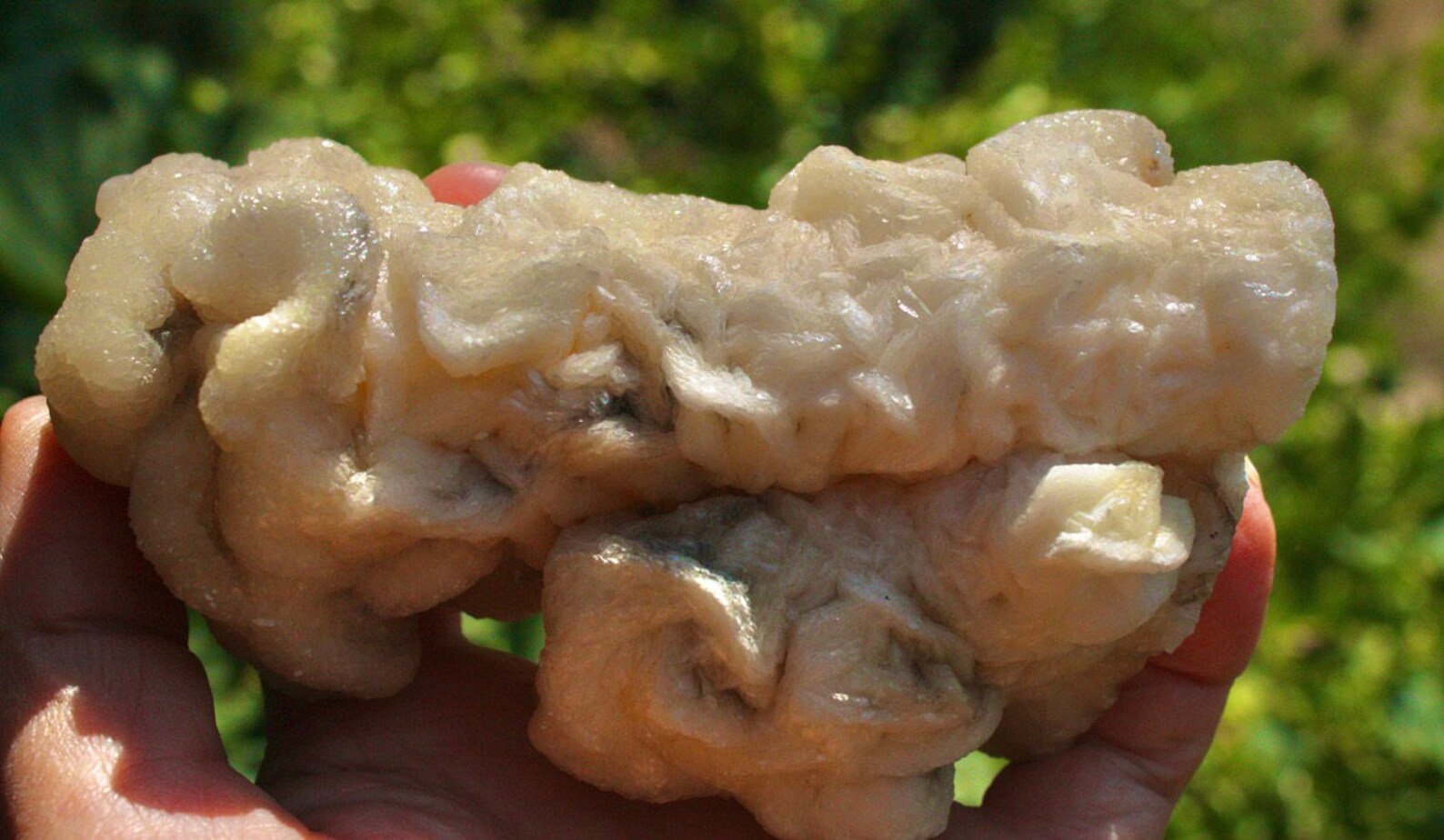 Brain-like Botryoidal Chalcedony Specimen - Etsy