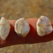 Trio of Spencer Opal "rub" Preform Cabochons, 8.5 Carats - Etsy