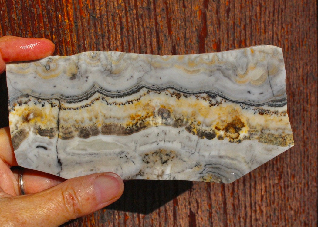 Dendritic Orange Banded Calcite Slab, Unpolished, 5.85 X 2.6 Inches - Etsy