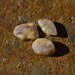 Trio of Spencer Opal "rub" Preform Cabochons, 8.5 Carats - Etsy