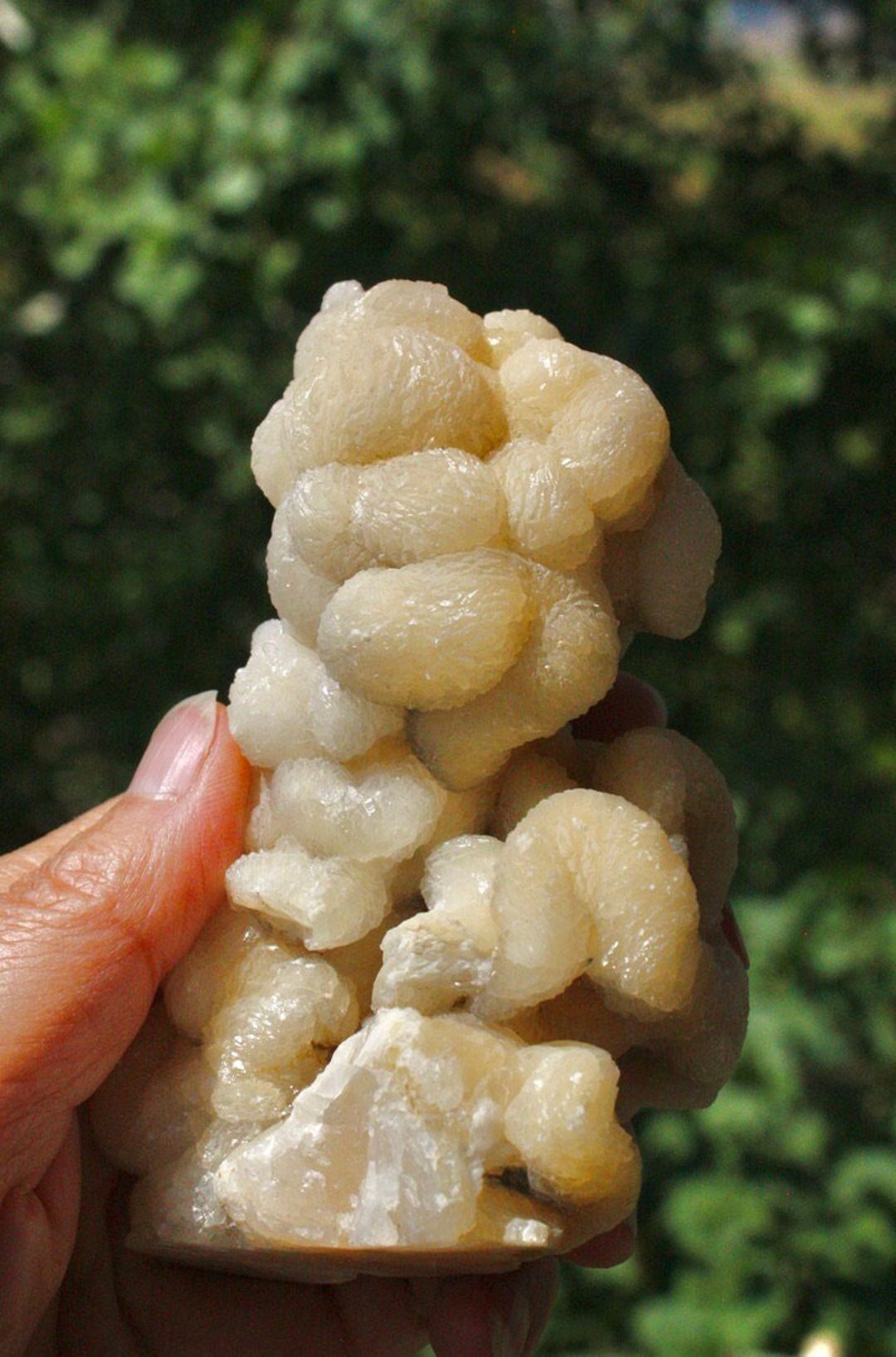 Brain-like Botryoidal Chalcedony Specimen - Etsy