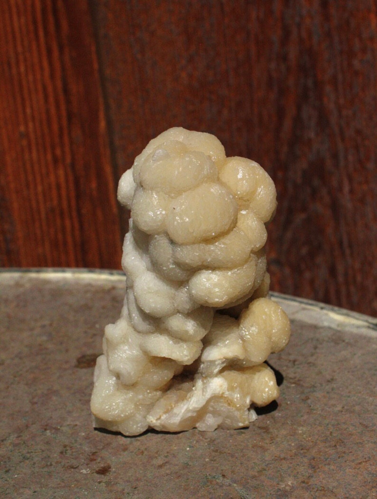 Brain-like Botryoidal Chalcedony Specimen - Etsy