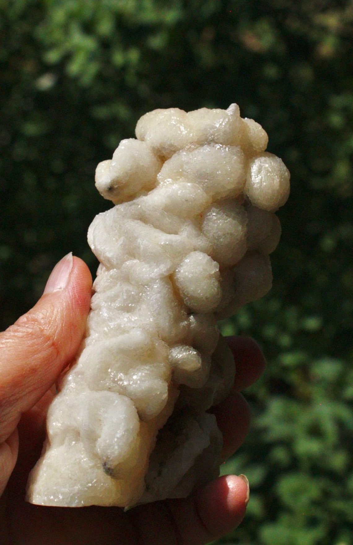 Brain-like Botryoidal Chalcedony Specimen - Etsy