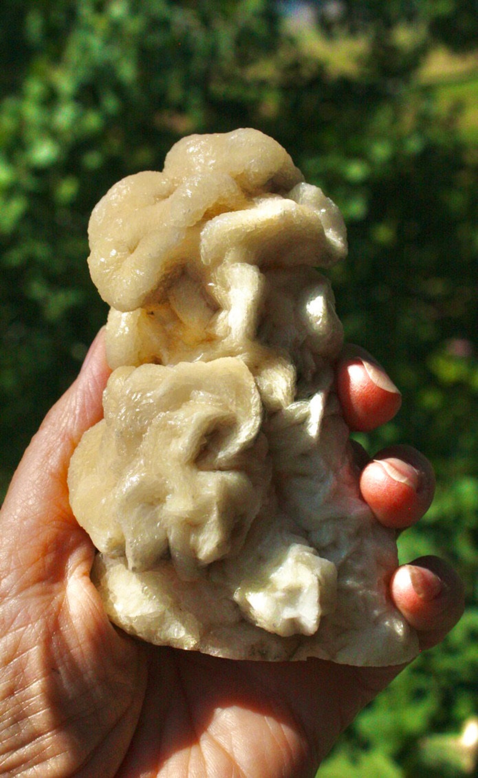 Brain-like Botryoidal Chalcedony Specimen - Etsy
