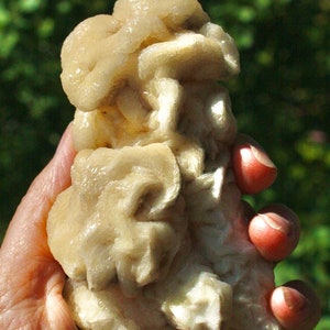 Brain-like Botryoidal Chalcedony Specimen - Etsy