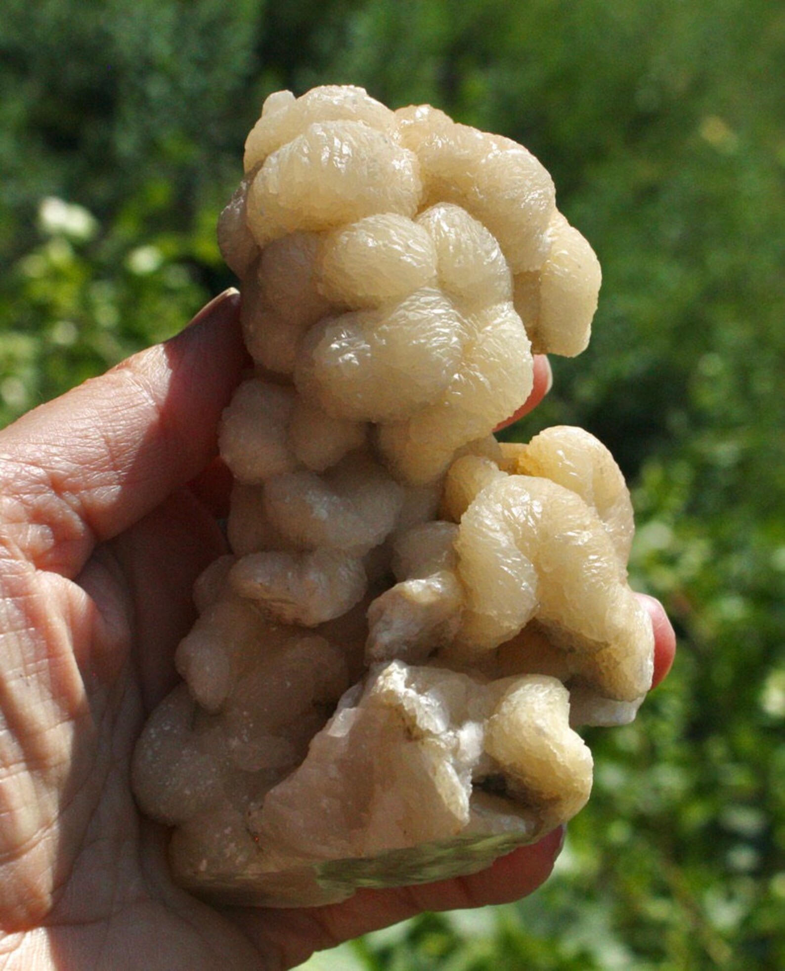 Brain-like Botryoidal Chalcedony Specimen - Etsy