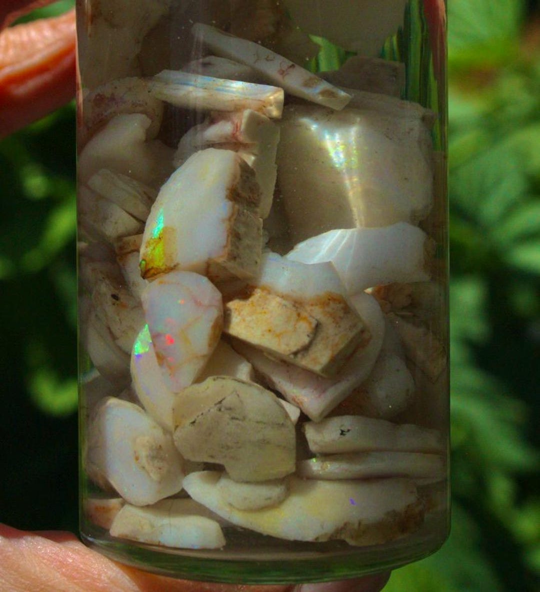 265.5 Carats of Spencer Opal Chips in Glass Jar - Etsy