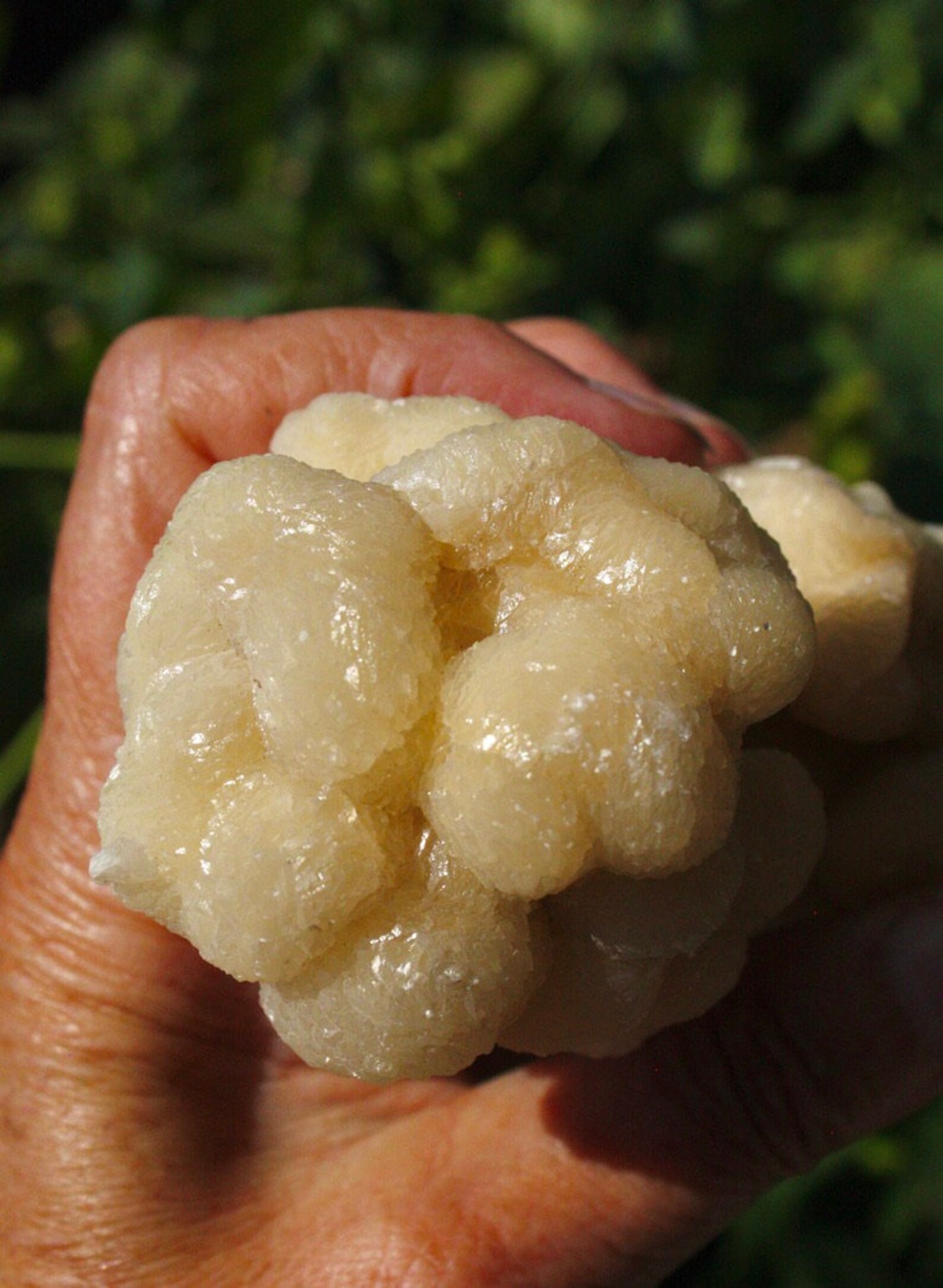 Brain-like Botryoidal Chalcedony Specimen - Etsy
