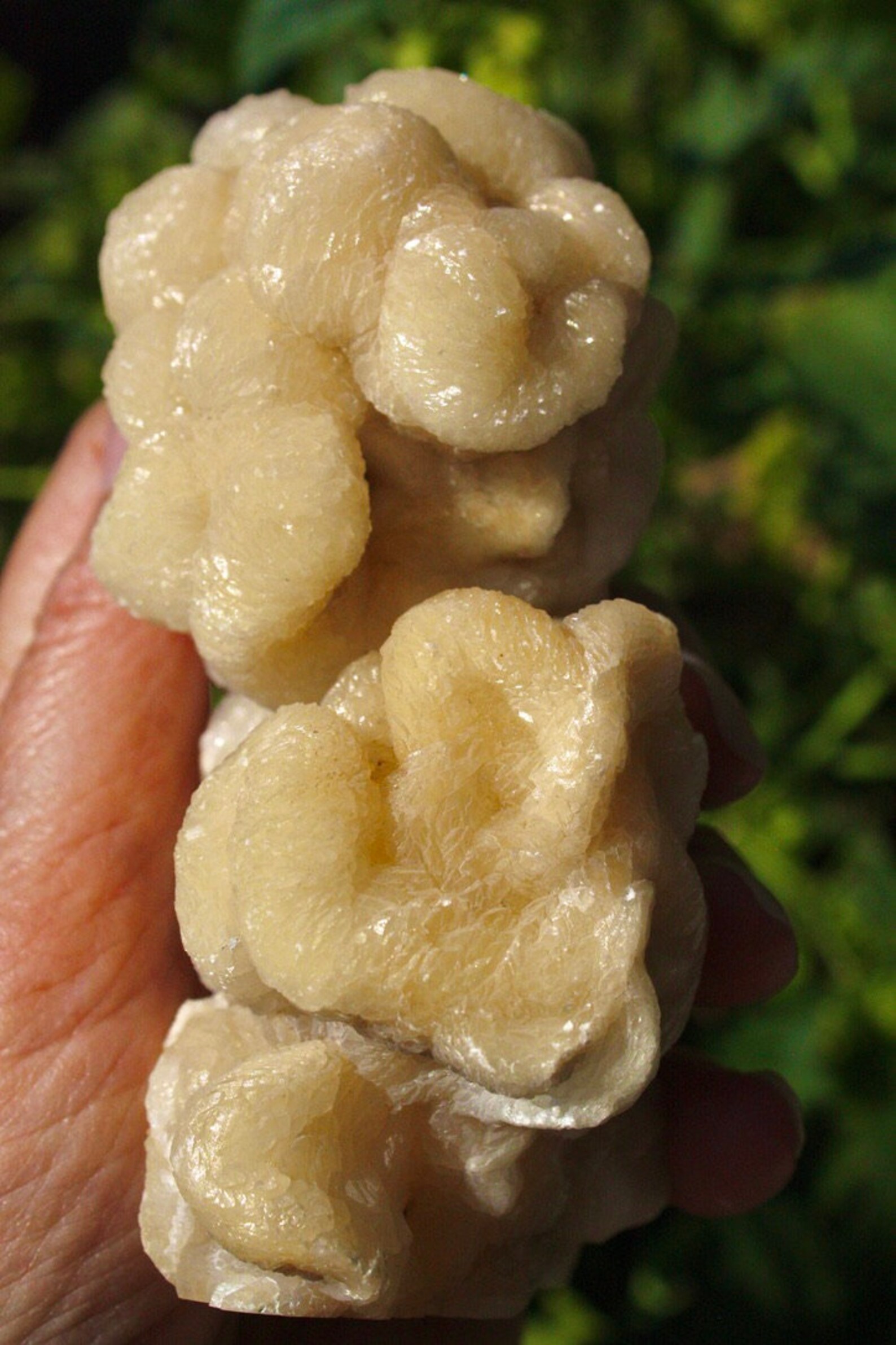 Brain-like Botryoidal Chalcedony Specimen - Etsy