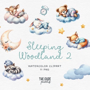 Cute Sleeping Animals Clipart Watercolor Woodland Animals - Etsy