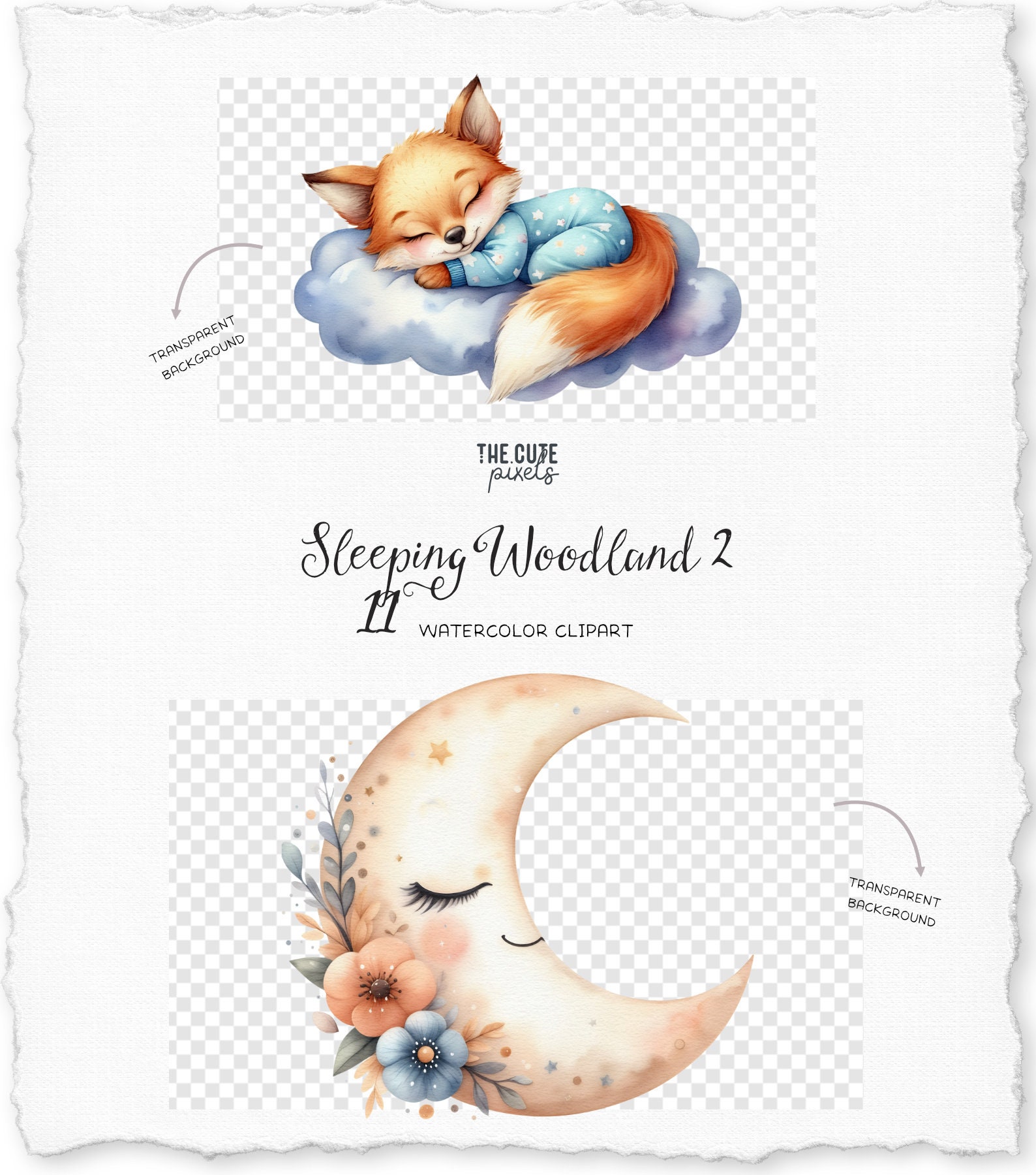 Cute Sleeping Animals Clipart Watercolor, Woodland Animals Clipart ...