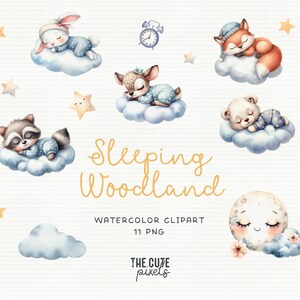 Cute Sleeping Animals Clipart Watercolor, Woodland Animals Clipart ...