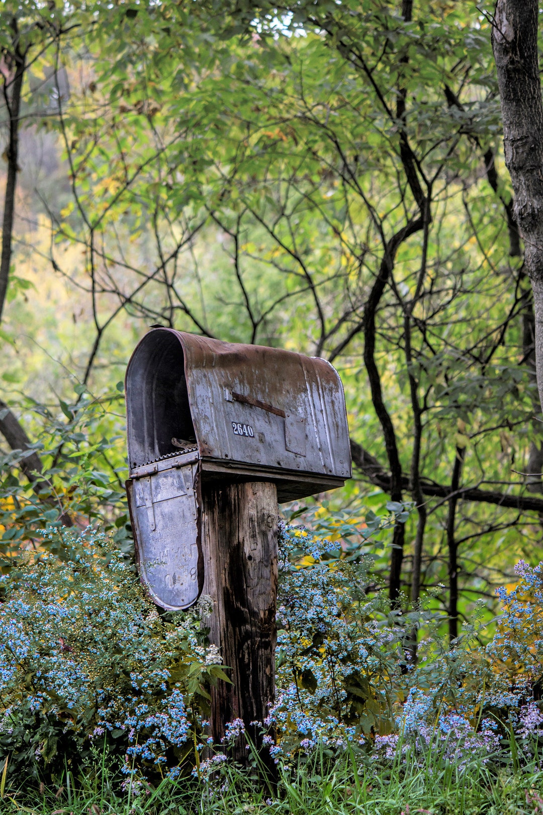 Abandoned, Mailbox Photo, Rural, Missouri, Wall Print, Wall Decor ...