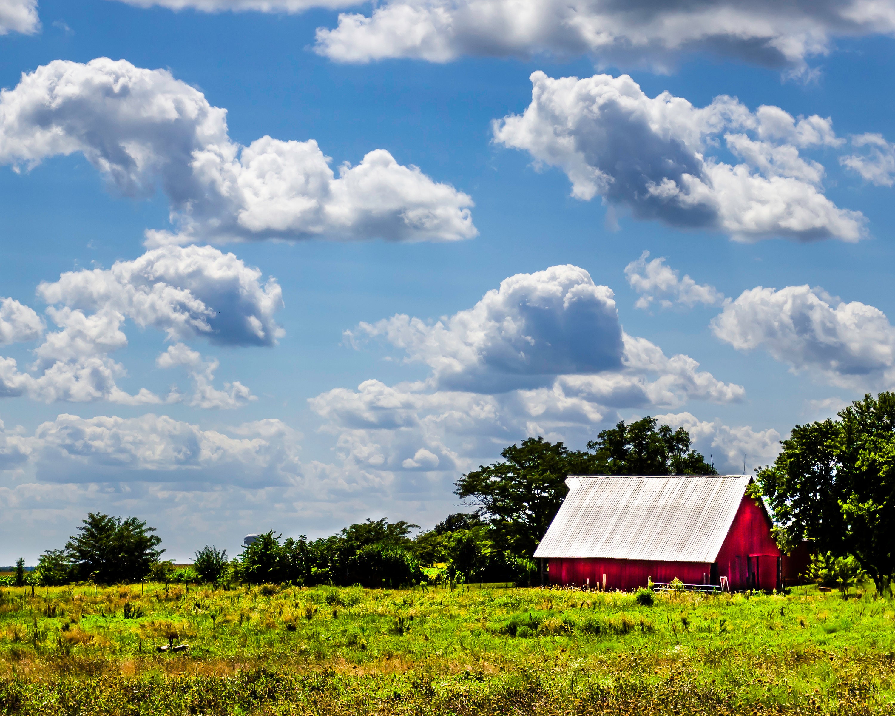 Red Barn, Missouri Barn, Rural Missouri, Farmhouse Decor, Wall Art ...
