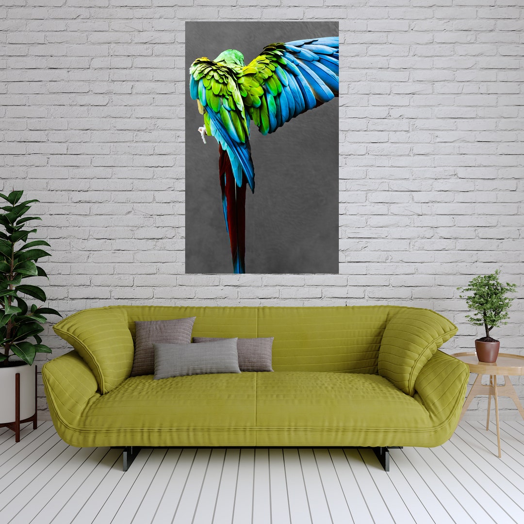 Macaw Parrot Photo, Bird Prints, Tropical Bird Print, - Etsy