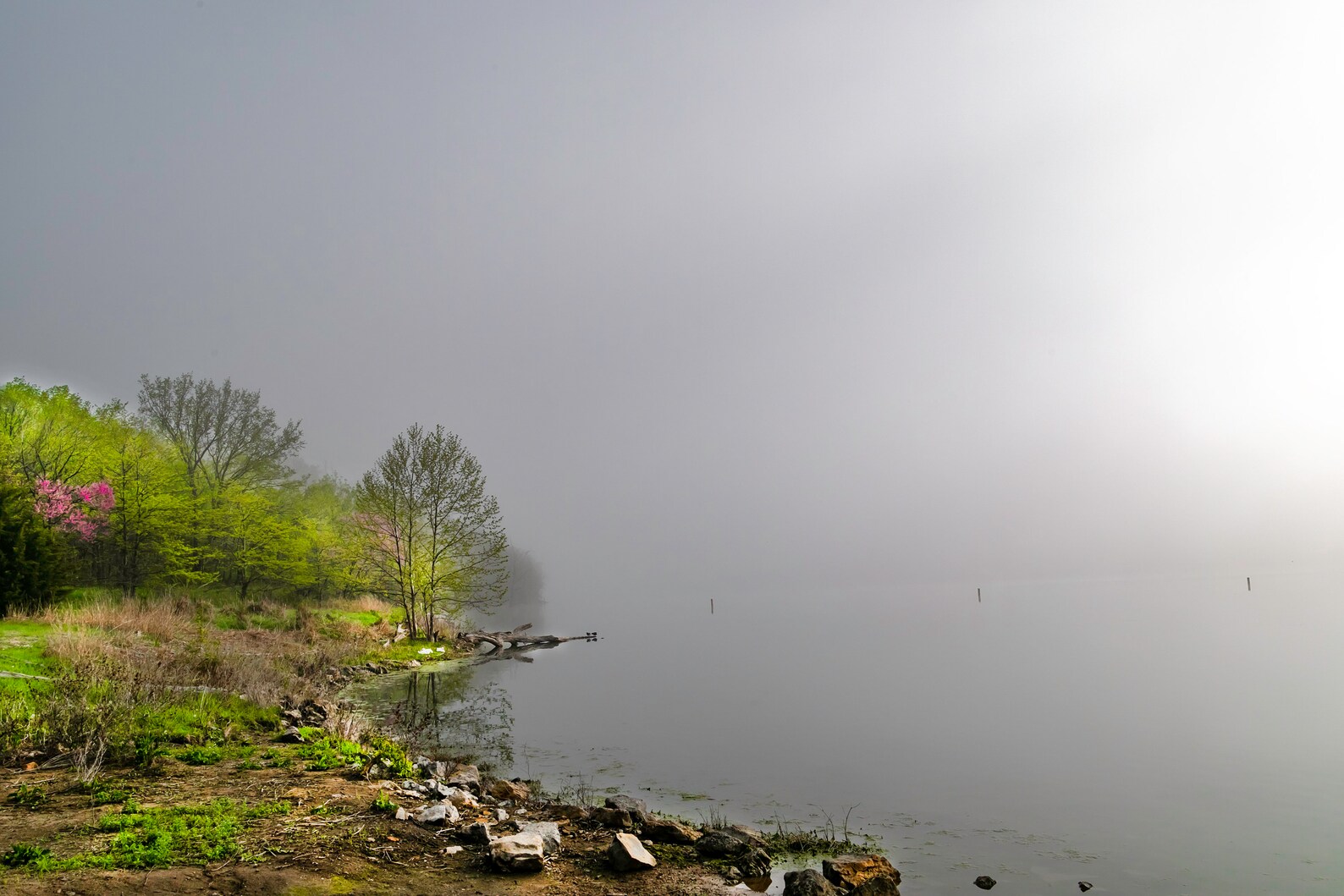 Foggy Spring Morning, Landscape Photography - Etsy UK