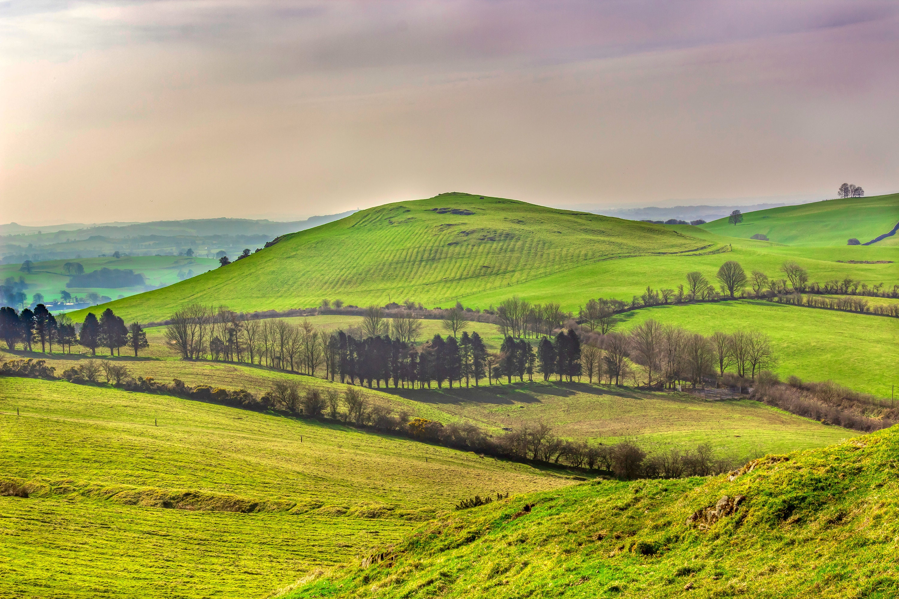 Ireland Photograph, Irish, Ireland Print, Ireland Landscape, County ...
