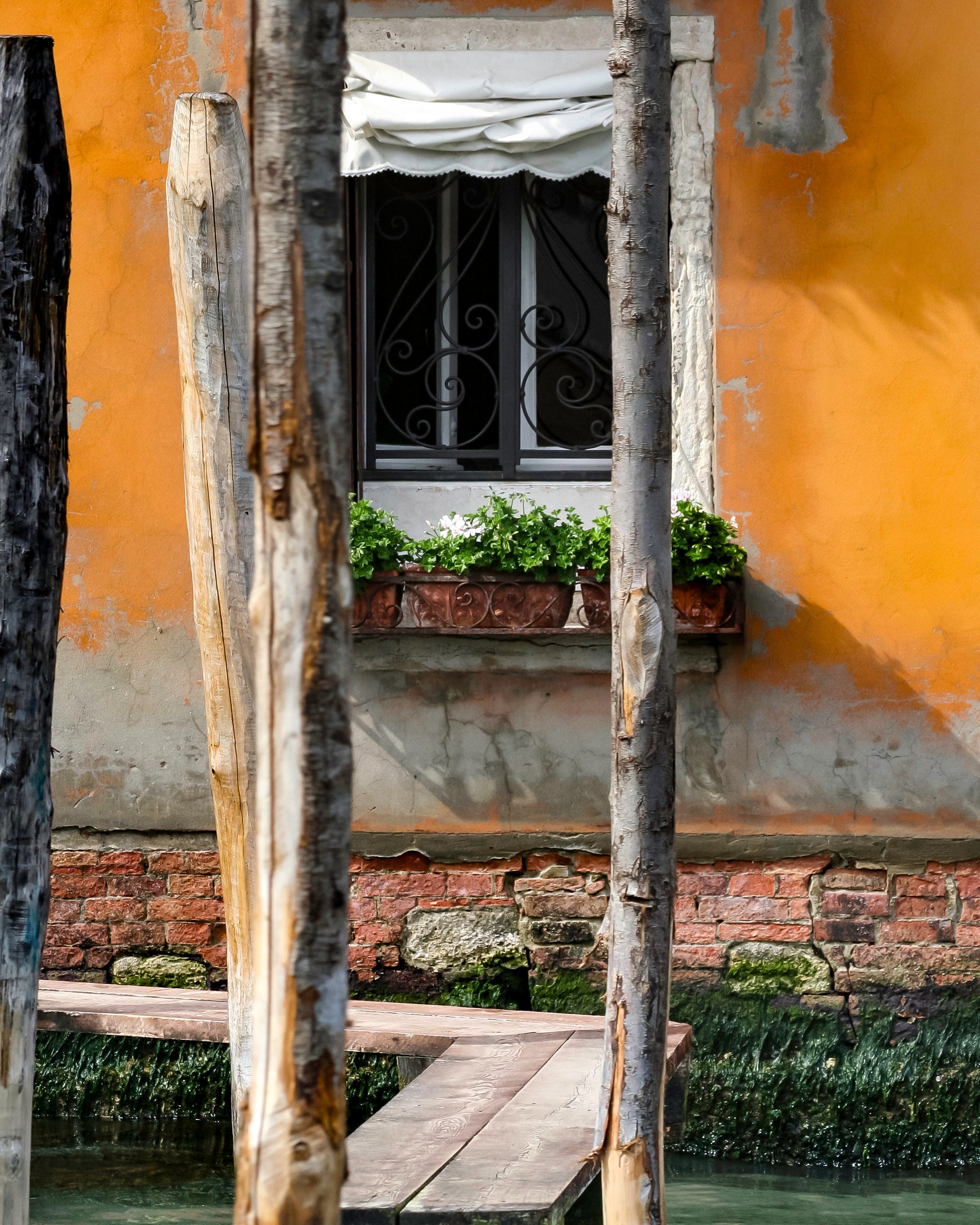 Italian Window, Italy Photography, Venice, Windows, Italy, Wall Art ...