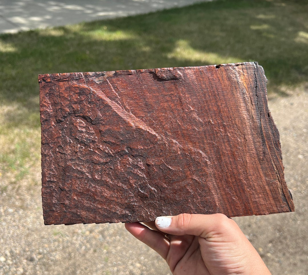 Wooden Topographic State - Etsy