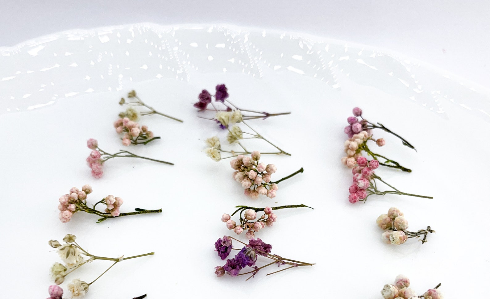 20 Pcs Mix of Dried Flowers for Resin | Dry Flowers for Crafts Dry Mini ...