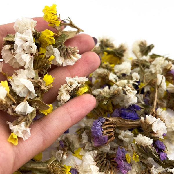 Organic Confetti - Etsy