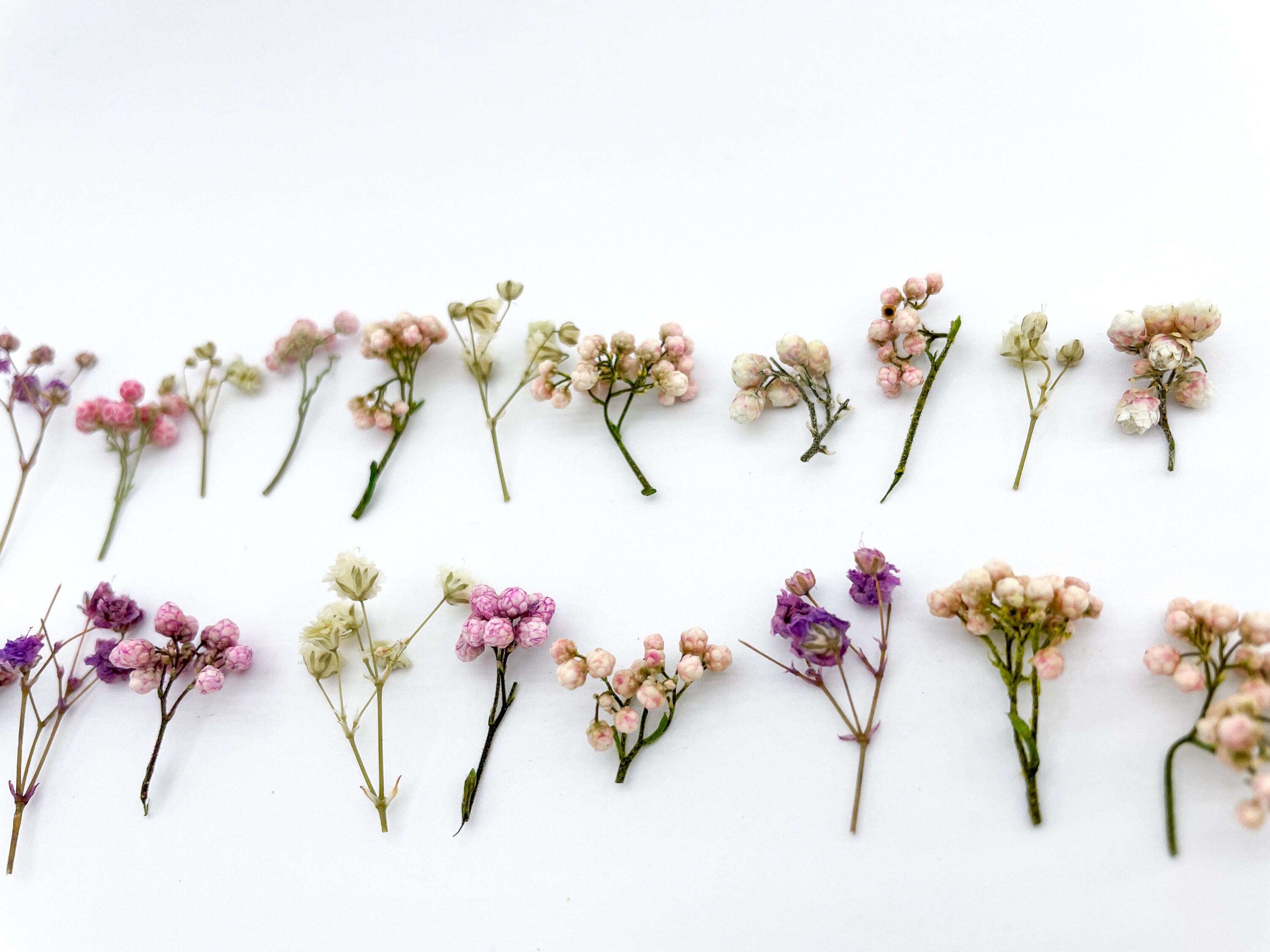 20 Pcs Mix of Dried Flowers for Resin | Dry Flowers for Crafts Dry Mini ...
