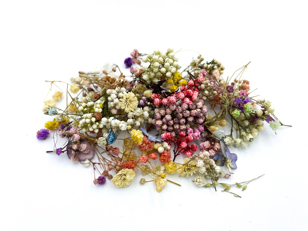 Dried Random Mini Flower Mix | Dry Flowers for Epoxy Resin Craft Dry ...