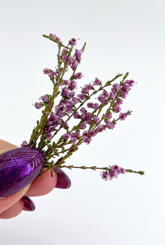Dried Purple Heather Mini dried flowers Dried flowers for | Etsy