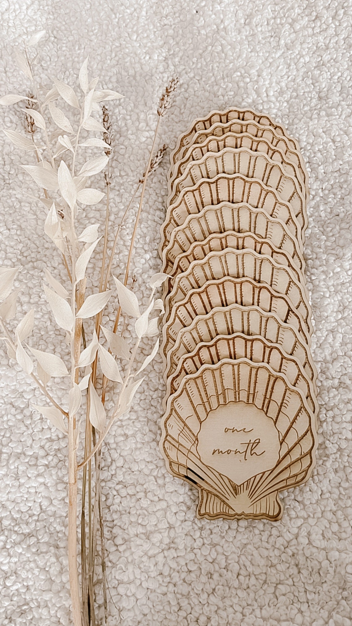 Sea Shell Collection // LASER ENGRAVE Birth Month, Birth Announcement ...