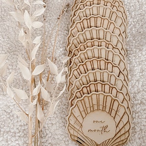 Sea Shell Collection // LASER ENGRAVE Birth Month, Birth Announcement ...