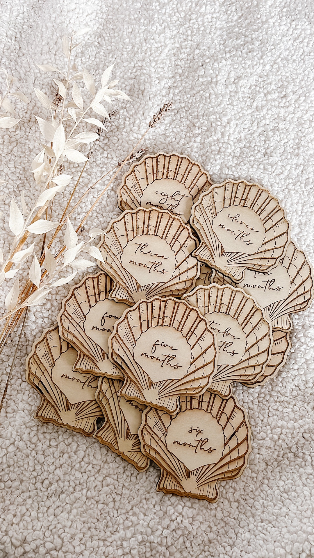 Sea Shell Collection // LASER ENGRAVE Birth Month, Birth Announcement ...