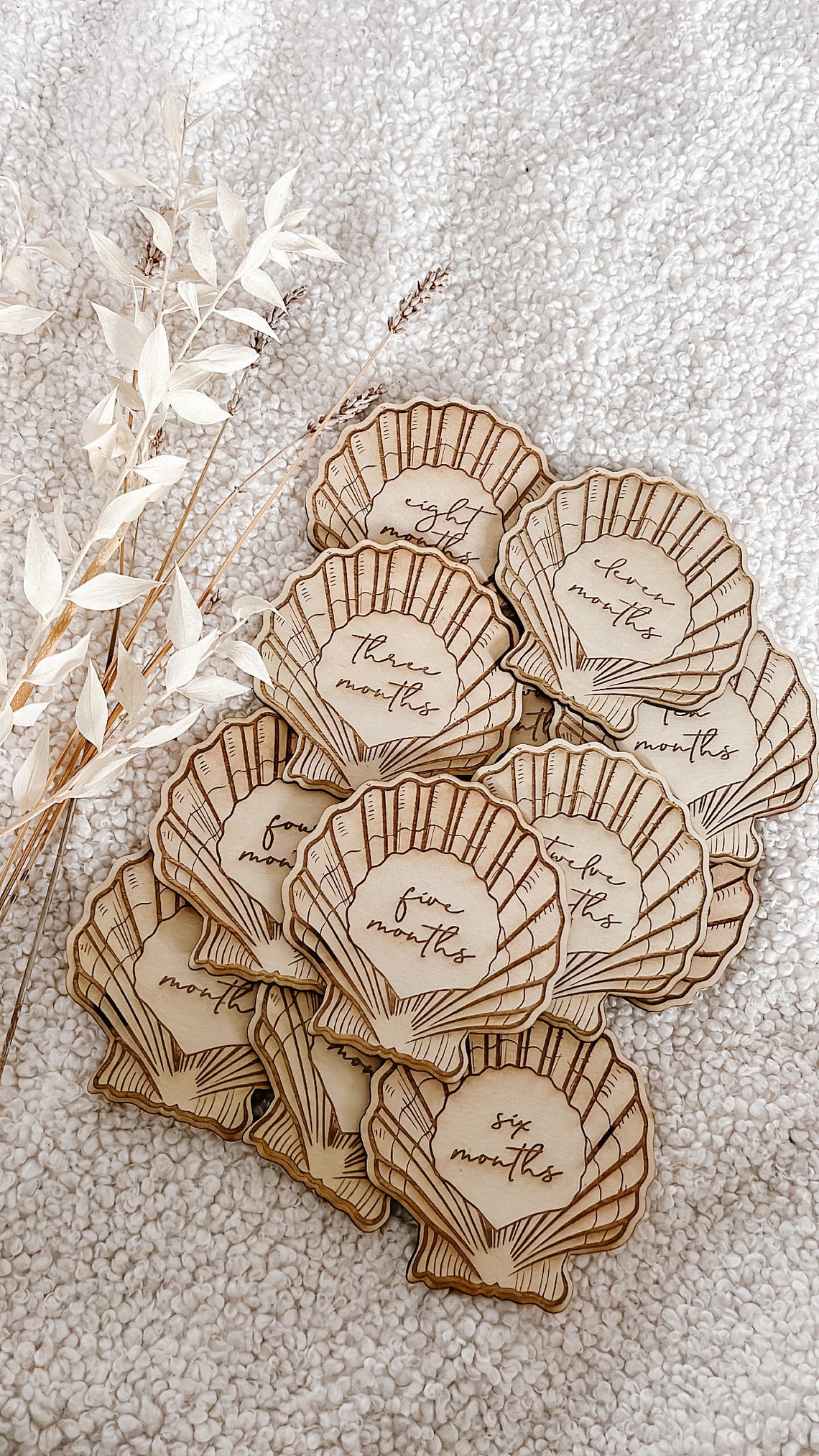 Sea Shell Collection // LASER ENGRAVE Birth Month, Birth Announcement ...