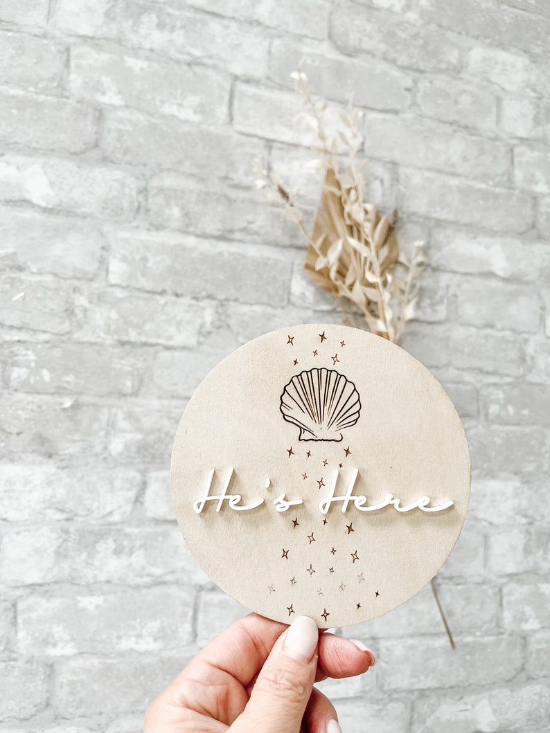 Sea Shell Collection // LASER ENGRAVE Birth Month, Birth Announcement ...