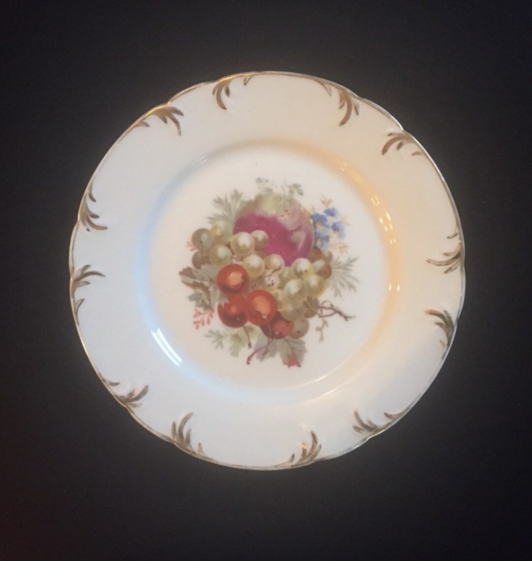 MZ AUSTRIA Hand Painted Porcelain Plate, Gold Rim, Light Blue Border ...