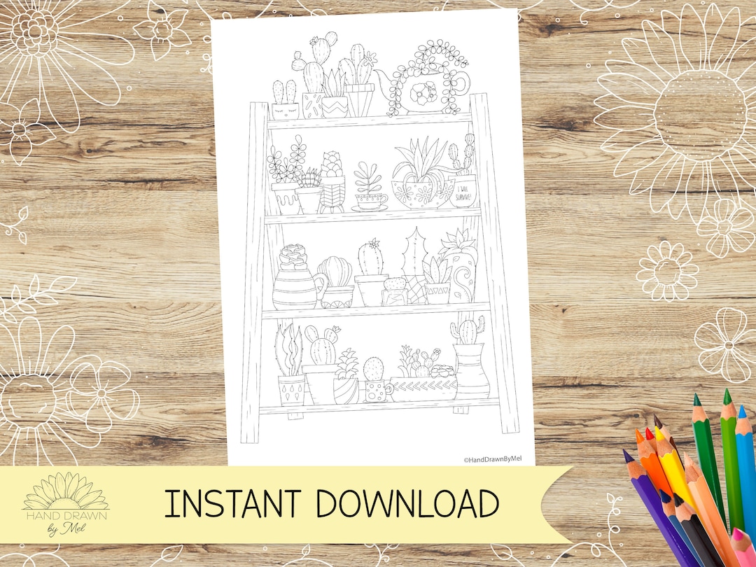 Cactus Ladder Display Colouring Page for Adults! Cacti, Succulent ...