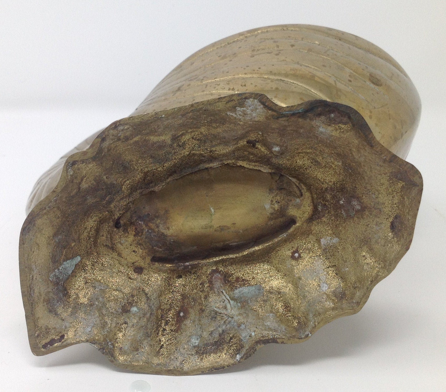 Vintage Brass Nautilus Shell Planter - Etsy