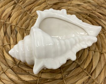 Conch Shell Planter - Etsy
