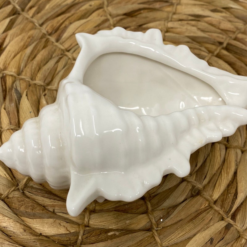 Conch Shell Planter - Etsy