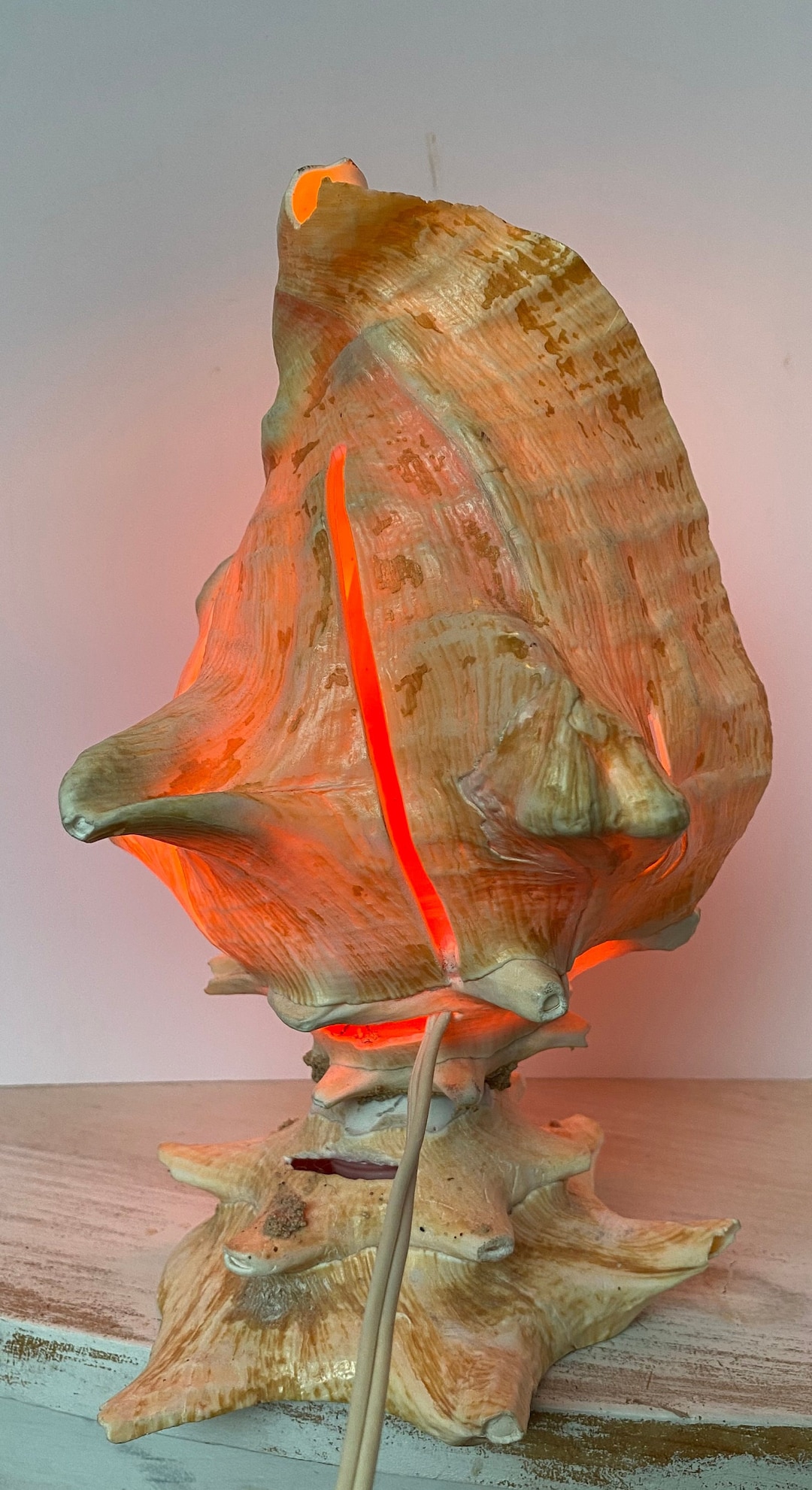 Vintage Conch Shell Light - Etsy