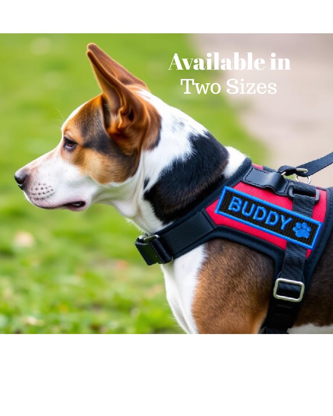 Custom Embroidered Pet Name Patch: Service, Therapy, Dog Harness ...