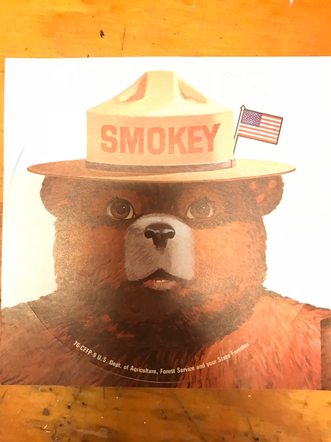 Vintage Smokey the Bear 1970s Decal - Etsy