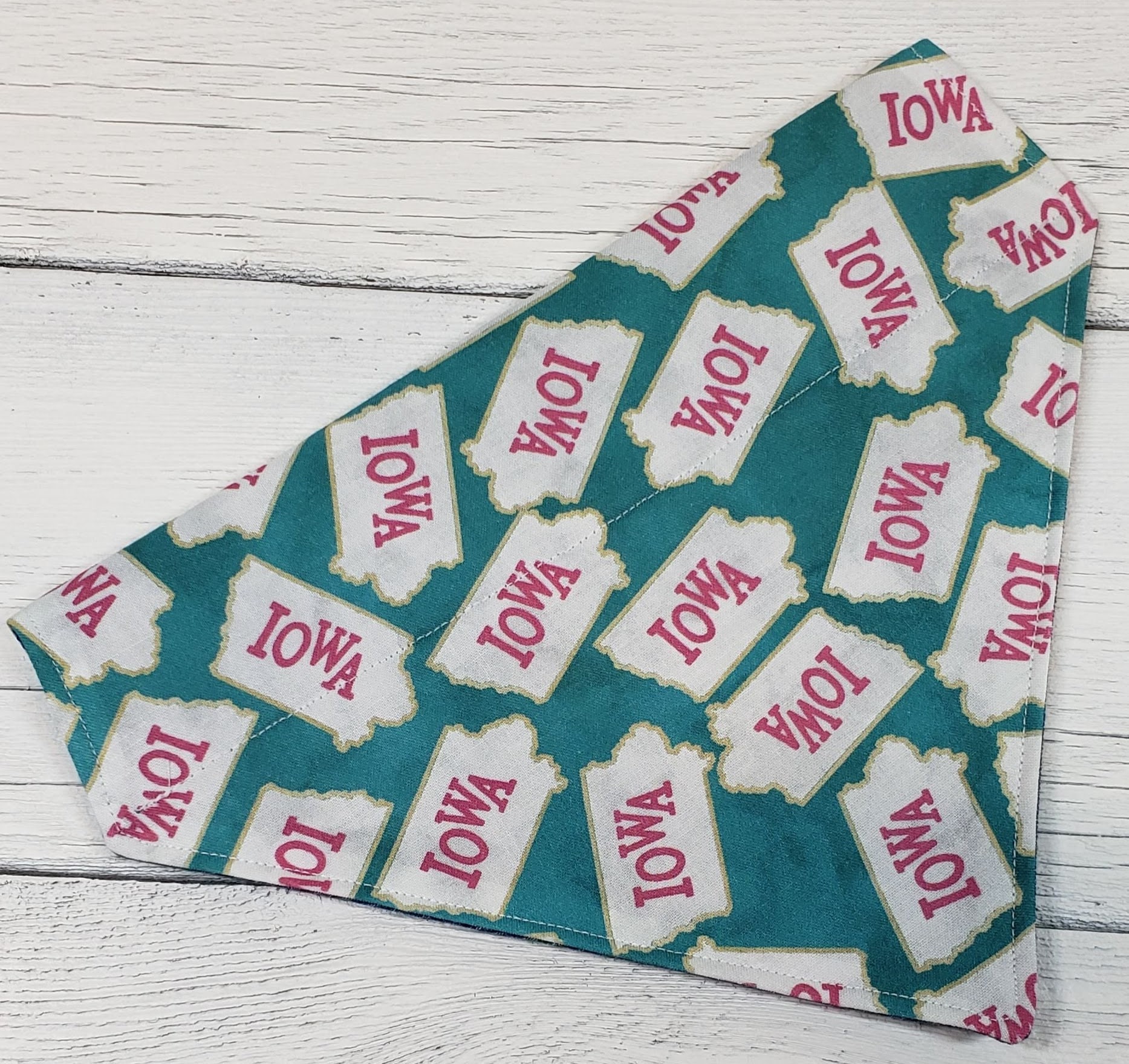 Colorado Texas and Iowa pride bandanas for your dogs | Etsy