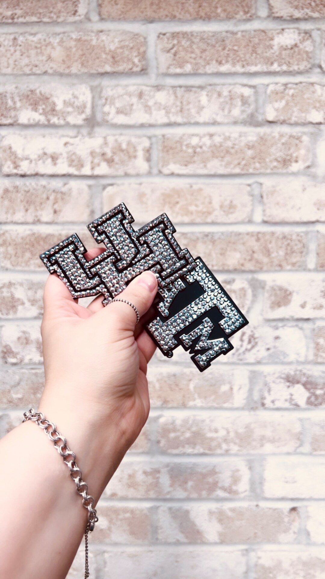 CHROME Bling School College Car Badge Bedazzled - Etsy