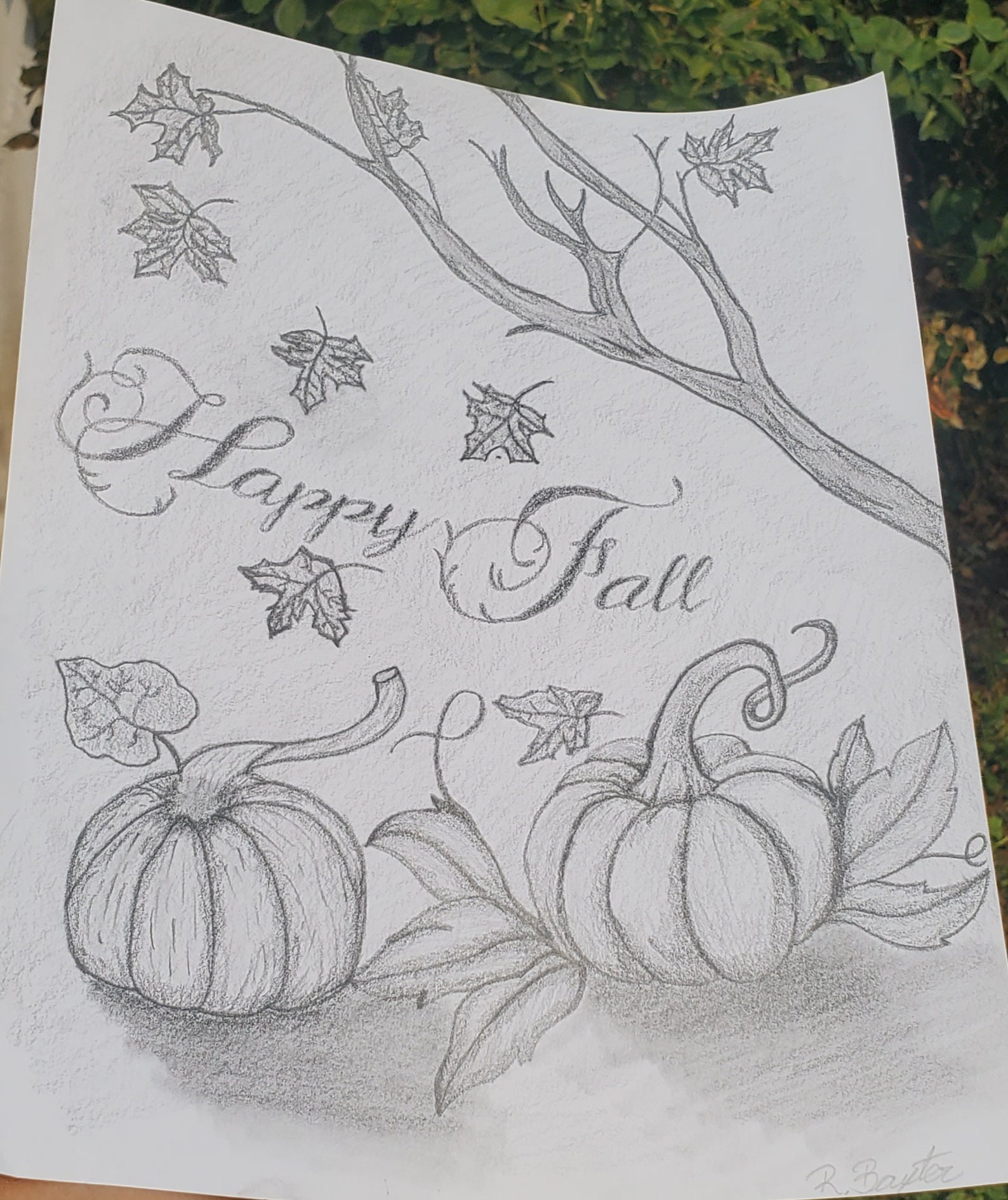 Fall Drawing Ideas